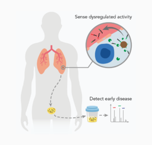 Early Disease Detection – Laboratory for Synthetic Immunity